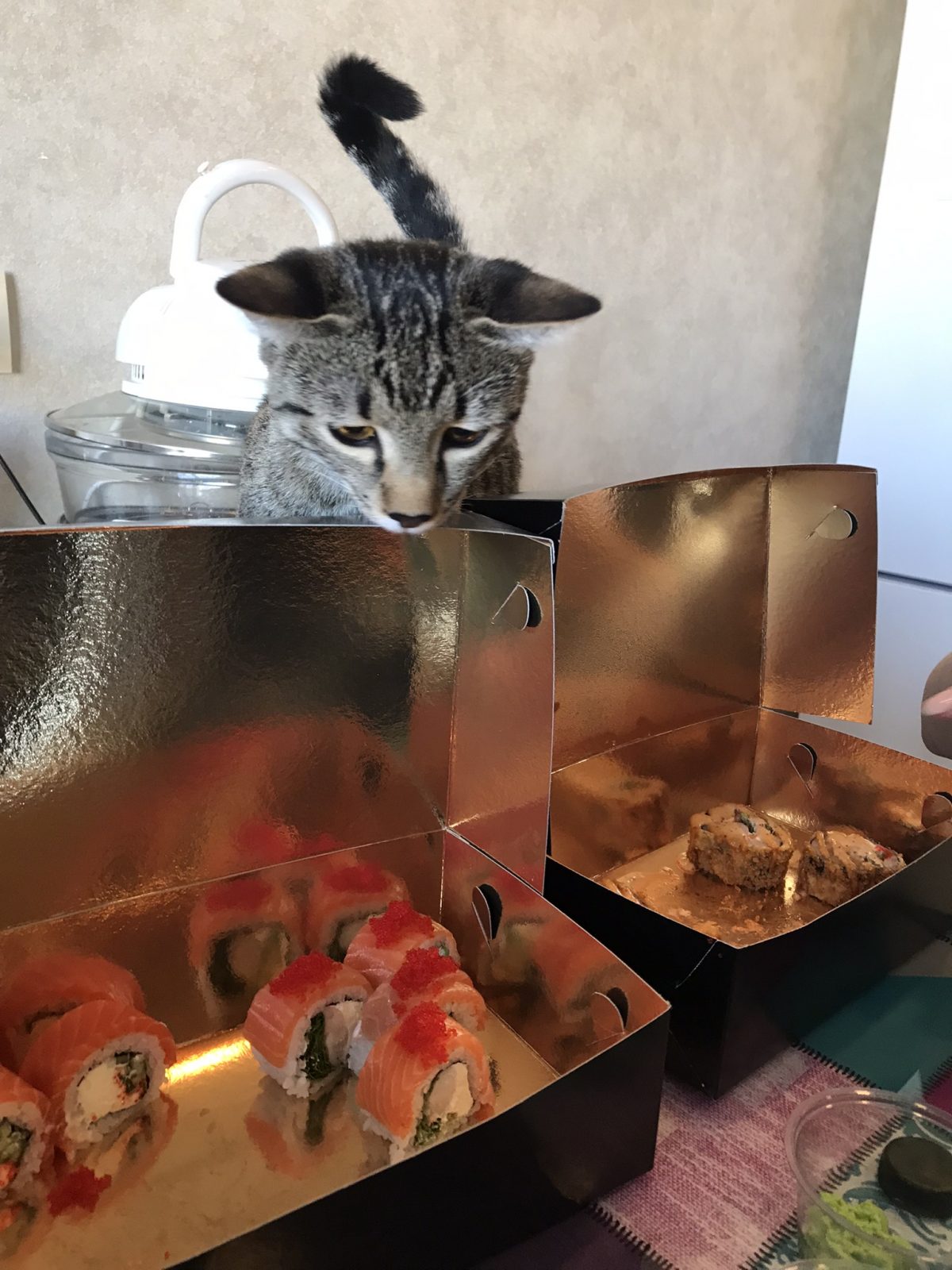 Самые вкусные суши в Батуми - это esthetic.rolls.batumi - BATUMI-TODAY.COM